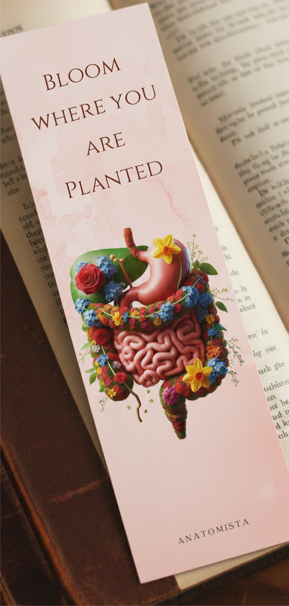 Digestive system Bookmark – Anatomista